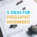 Teach It: 5 Ideas for Fossils and Past Environments — The Science Penguin