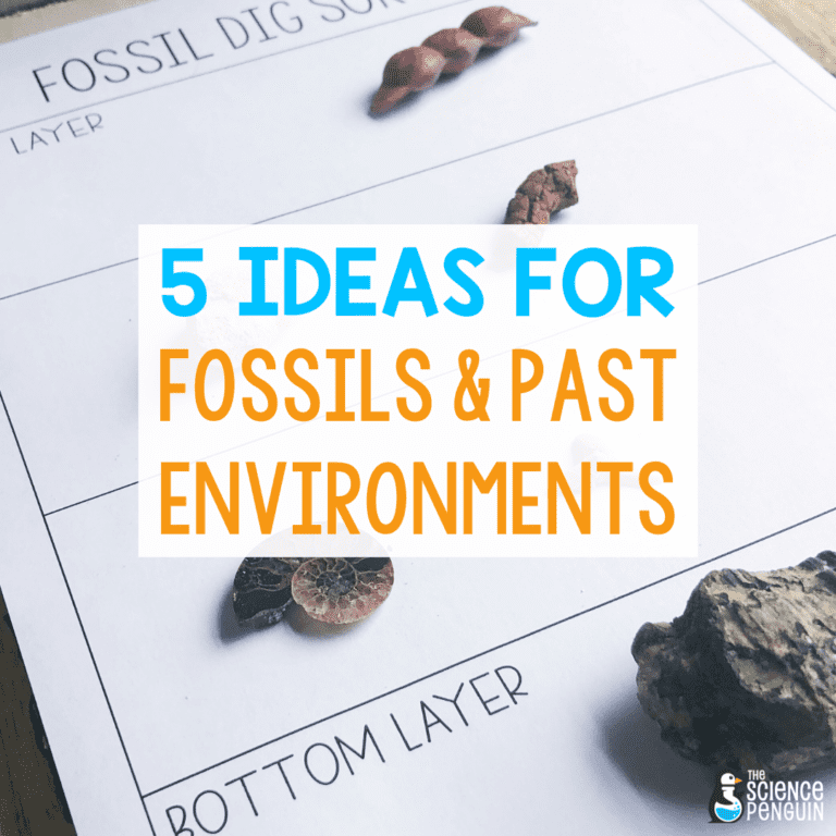 Teach It: 5 Ideas for Fossils and Past Environments — The Science Penguin