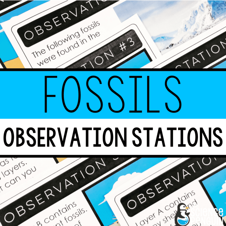 Teach It: 5 Ideas for Fossils and Past Environments — The Science Penguin
