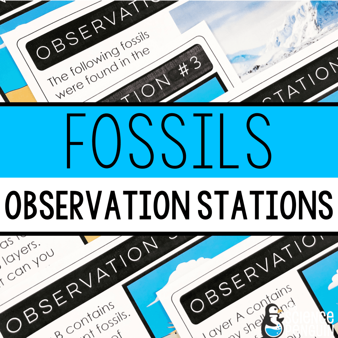 Teach It: 5 Ideas for Fossils and Past Environments — The Science Penguin
