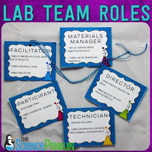 Classroom Management Solution: Lab Teams — The Science Penguin