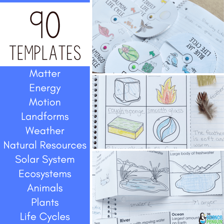1st and 2nd Grade Foldable Interactive Science Notebook Activities ...