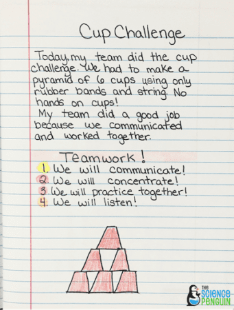 Solo Cup Teamwork Challenge — The Science Penguin