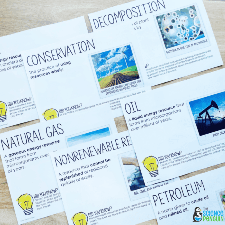 10 Fun and Engaging Ideas to Teach Science Vocabulary