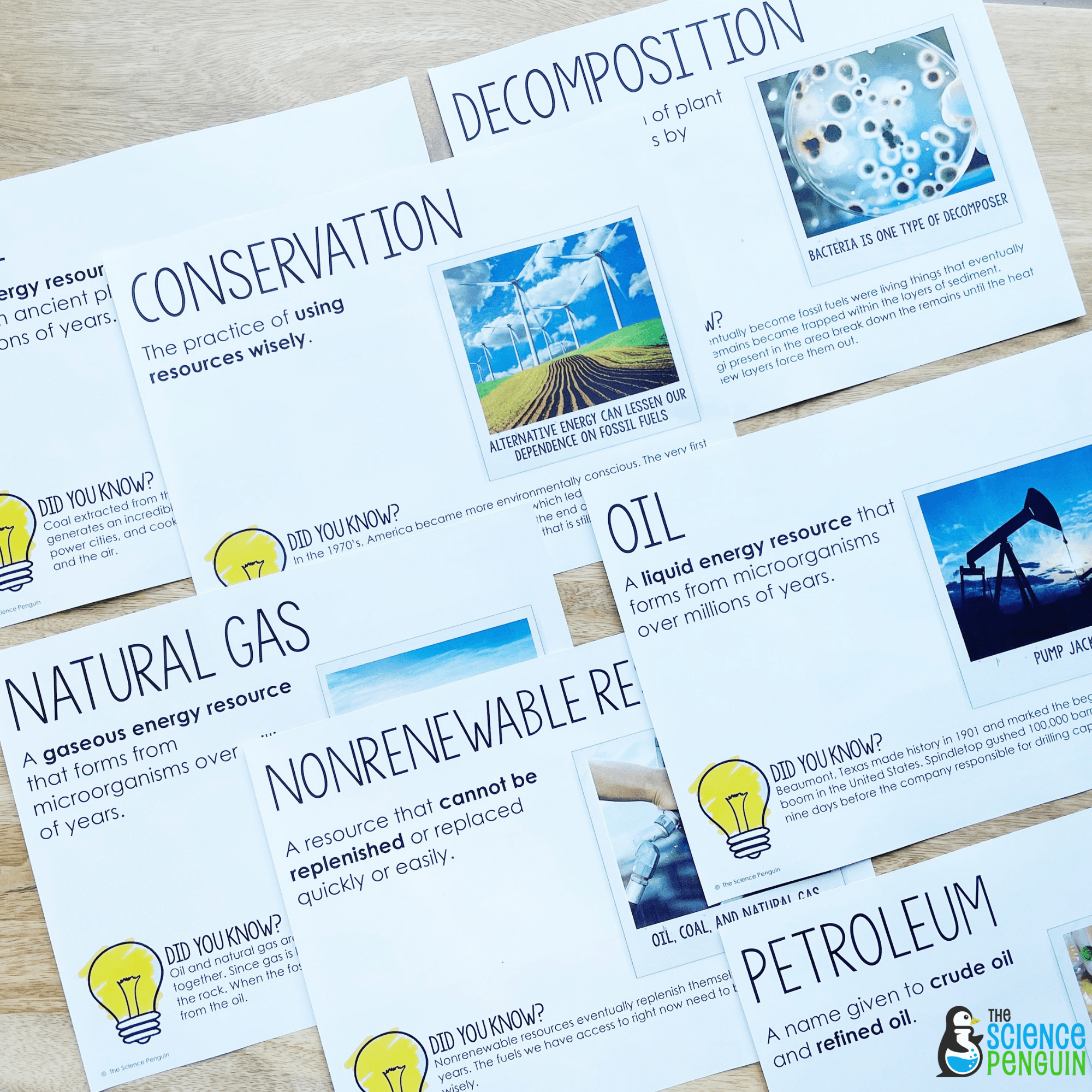 10 Fun and Engaging Ideas to Teach Science Vocabulary