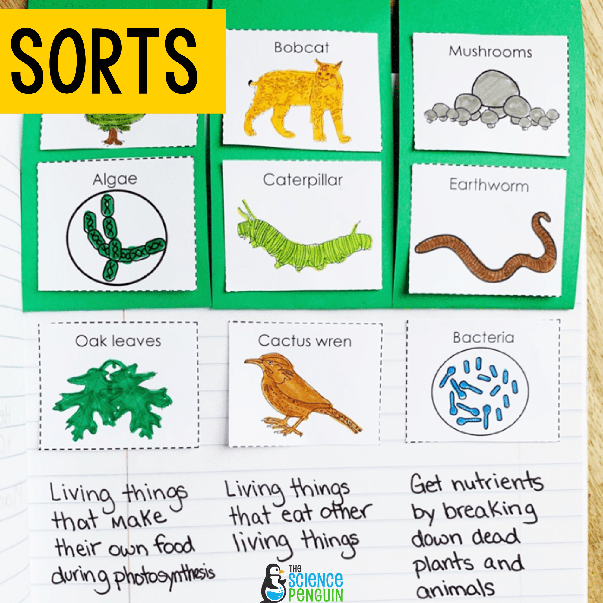 10 Fun and Engaging Ideas to Teach Science Vocabulary