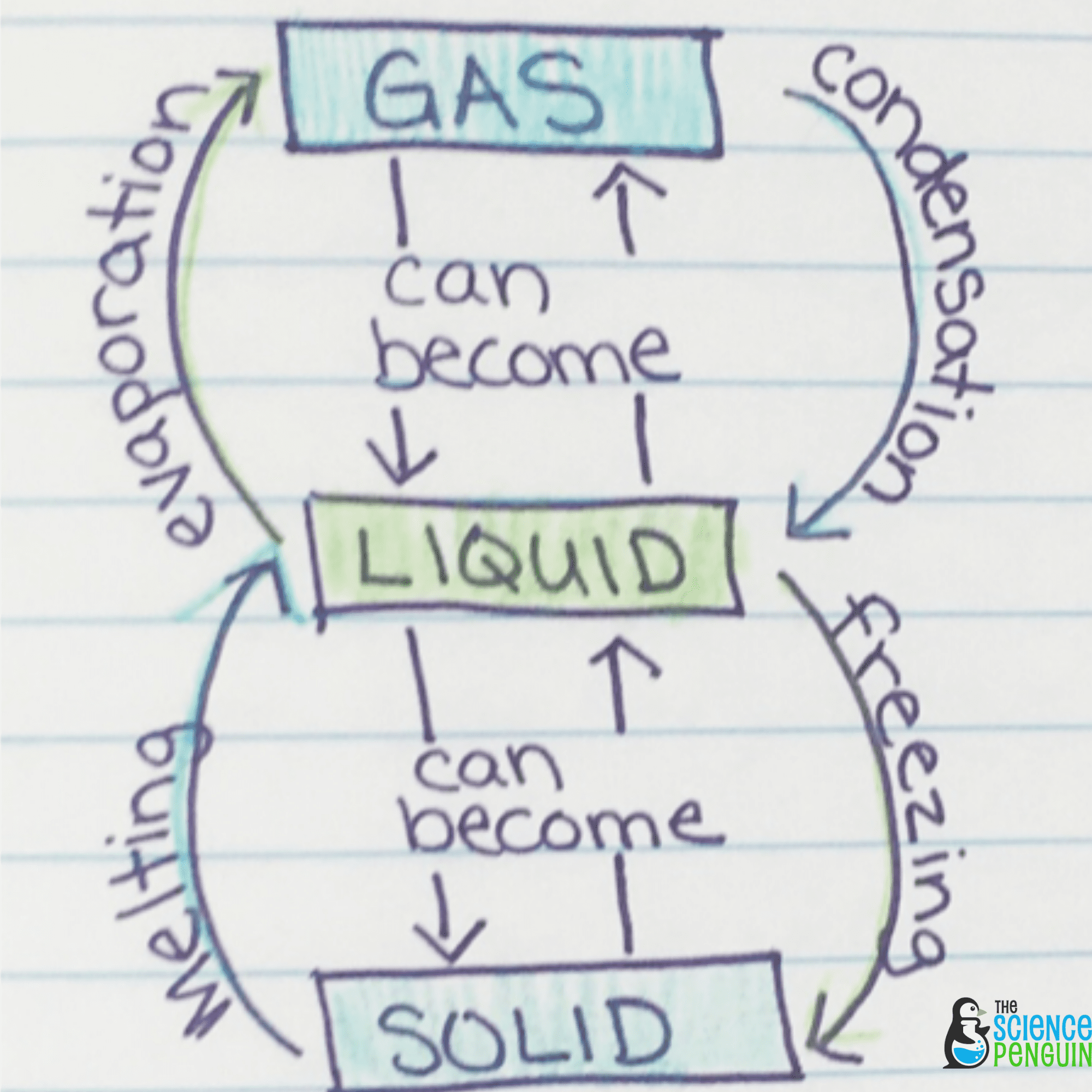 10 Fun and Engaging Ideas to Teach Science Vocabulary