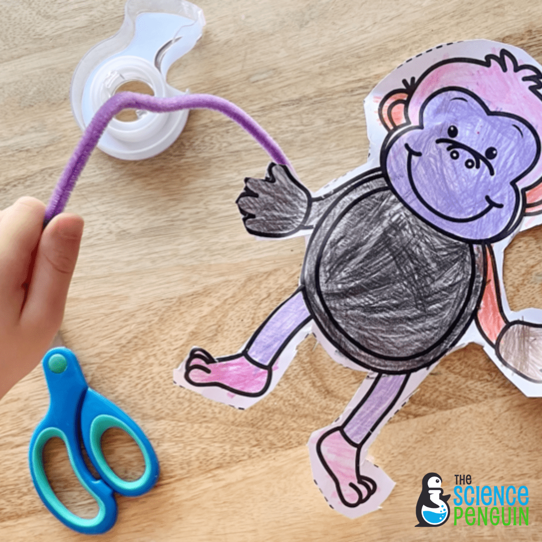 5 BEST Ideas to Teach Animal Adaptations and Plant Adaptations — The ...