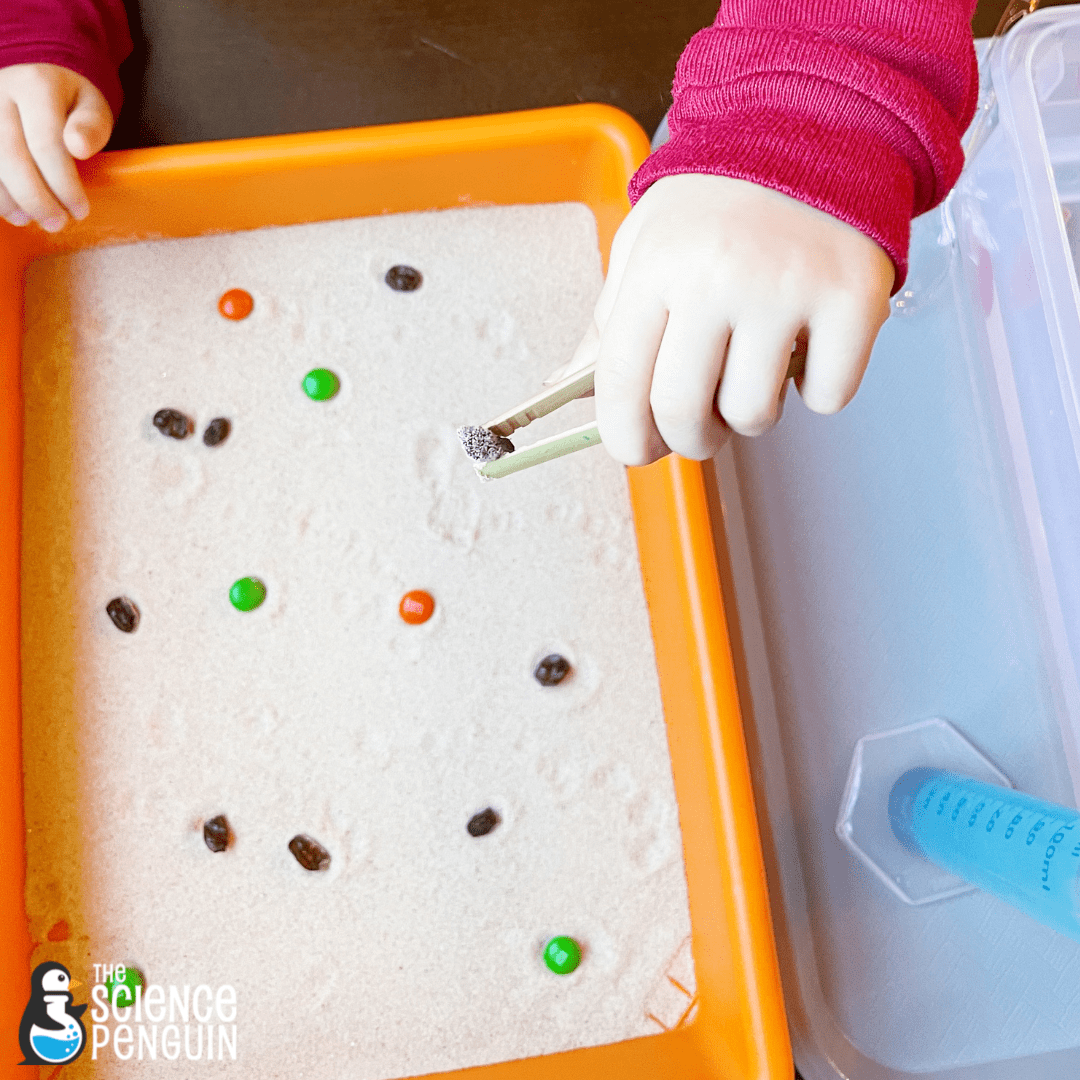 5 BEST Ideas to Teach Animal Adaptations and Plant Adaptations — The ...