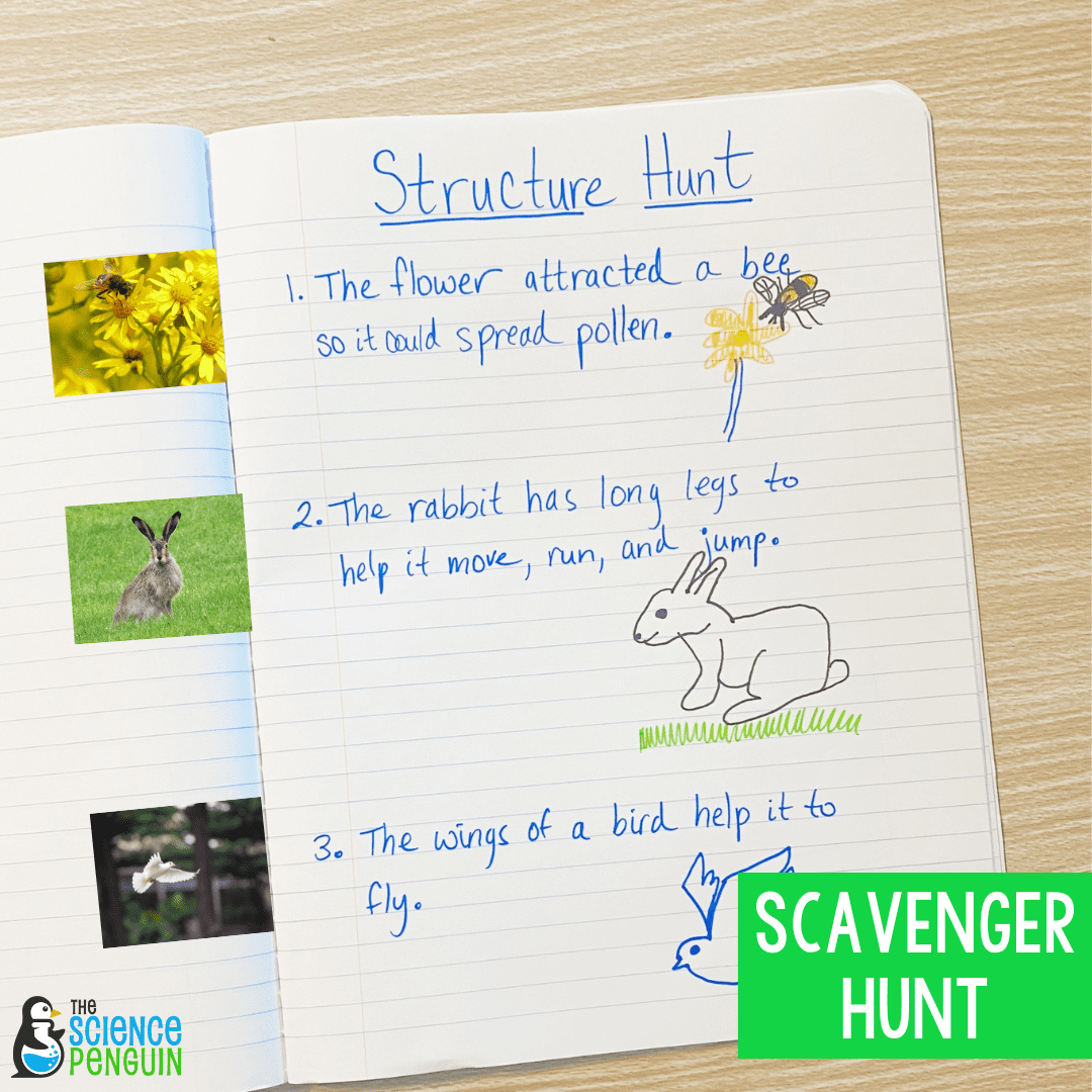 5 BEST Ideas to Teach Animal Adaptations and Plant Adaptations — The ...