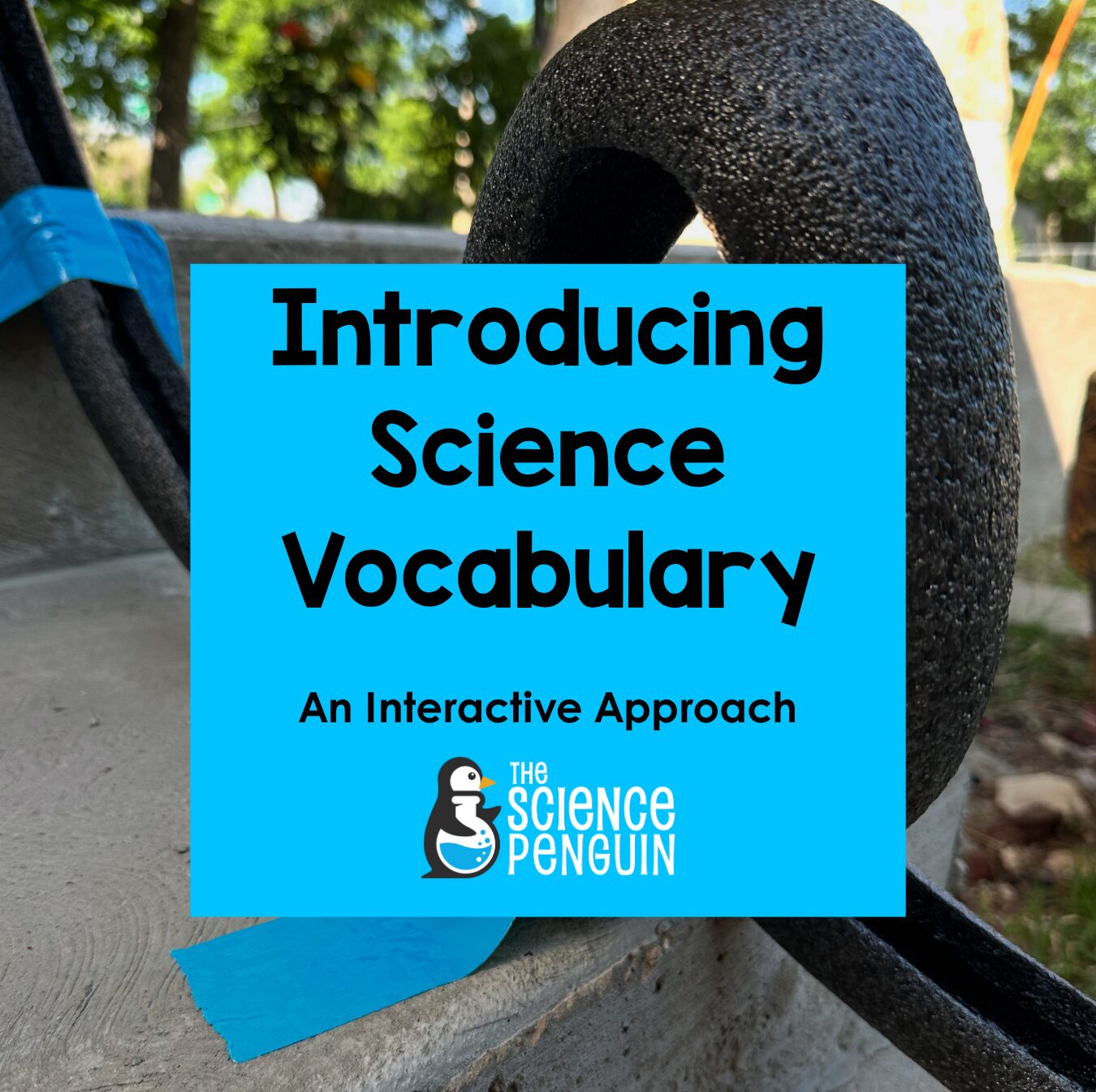 Introducing Science Vocabulary: An Interactive Approach — The Science ...