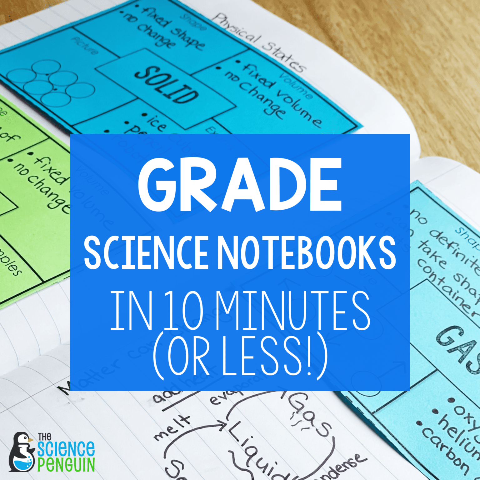 Grade Interactive Notebooks in 10 Minutes (or less!) — The Science Penguin