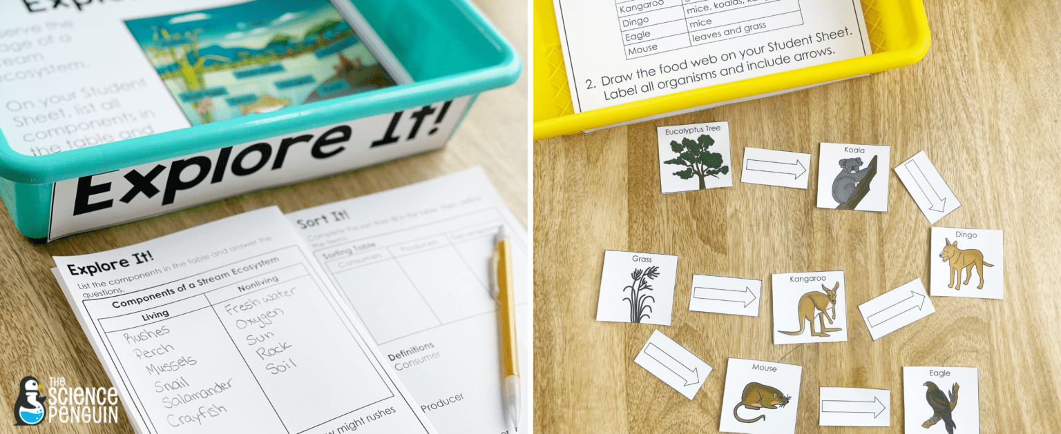 Science Stations Units from The Science Penguin