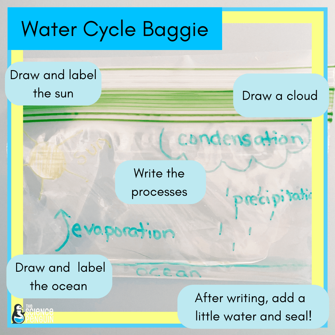 7 Amazing Ideas for Teaching the Water Cycle — The Science Penguin