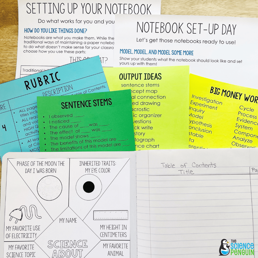 Starting Out with Sentence Stems