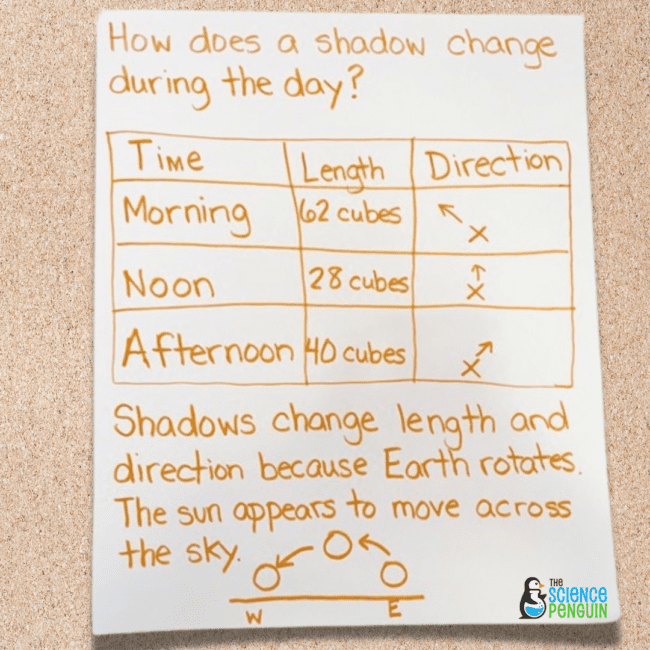 Shadow Science for Kindergarten and First Grade: Groundhog Day — The ...