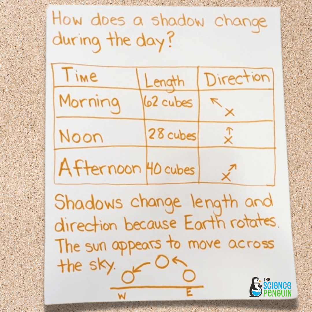 Shadow Science for Kindergarten and First Grade: Groundhog Day — The ...