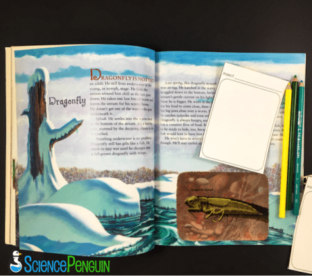 Picture Book Science: Bugs and Bugsicles — The Science Penguin