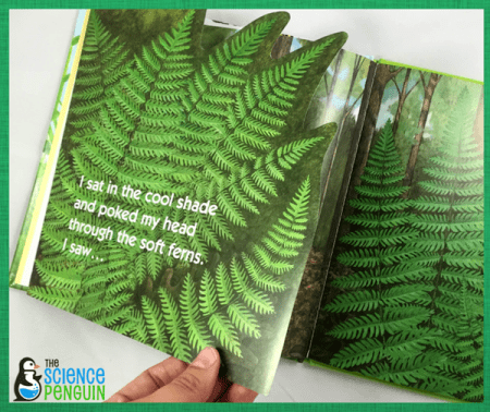 Captivating Science: Nature Walks — The Science Penguin