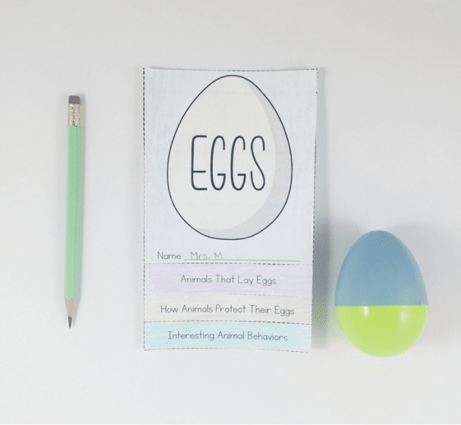 Ideas and a free flapbook to use with Egg: Nature's Perfect Package ...