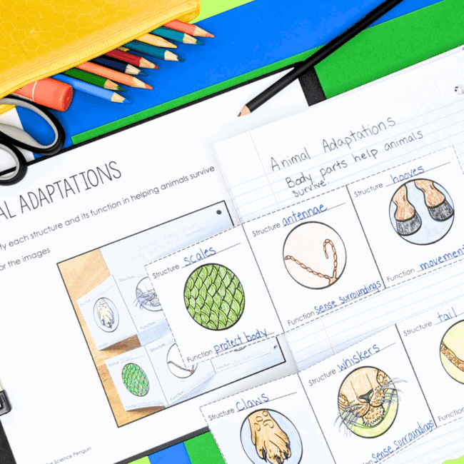 Setting Up Sensational Science Interactive Notebooks in 3rd, 4th, 5th ...