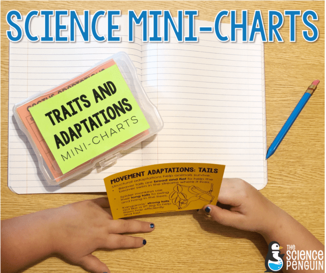 How Science Mini-Charts Can Help YOU! — The Science Penguin