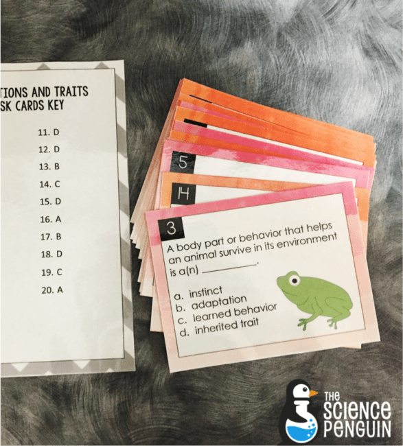 Science Vocabulary Ideas: Bowling Review Game — The Science Penguin