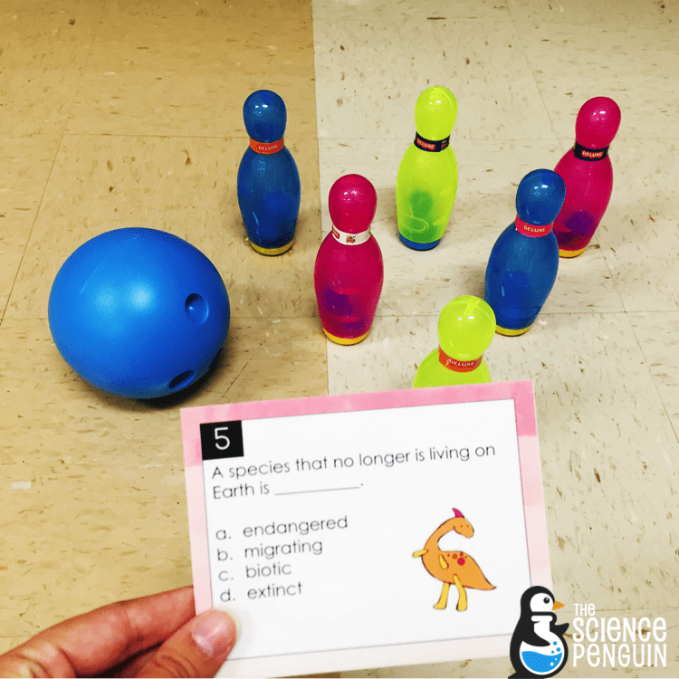 Science Vocabulary Ideas: Bowling Review Game — The Science Penguin Science Vocabulary Ideas: Bowling Review Game — The Science Penguin