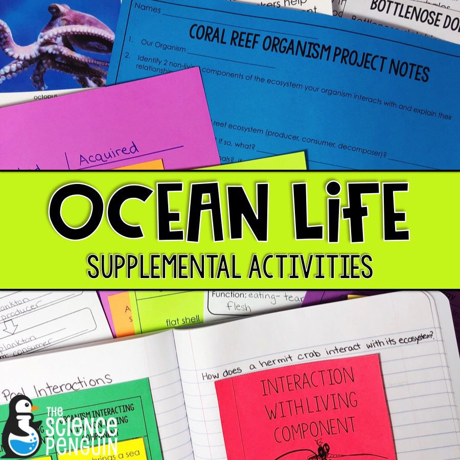 Tide Pools, Reefs, and Sharks, Oh My: Life Science and Oceans — The ...