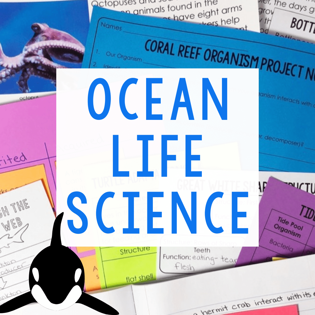Tide Pools, Reefs, and Sharks, Oh My: Life Science and Oceans — The ...