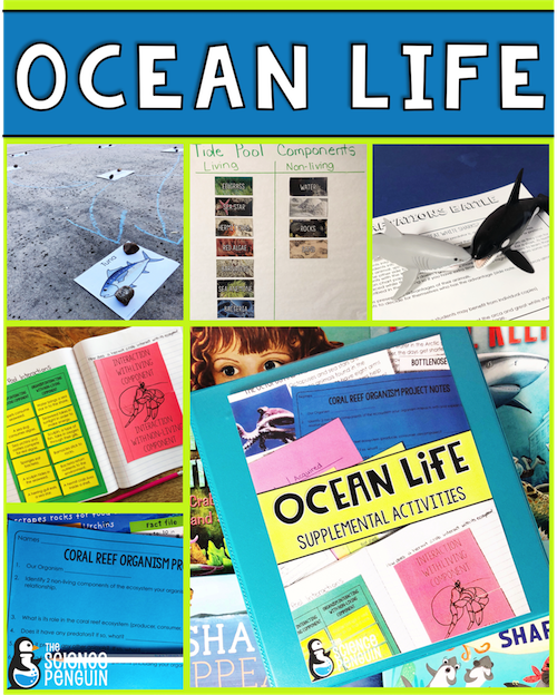 Ocean Life Activities: ecosystem interactions, food webs, traits and ...