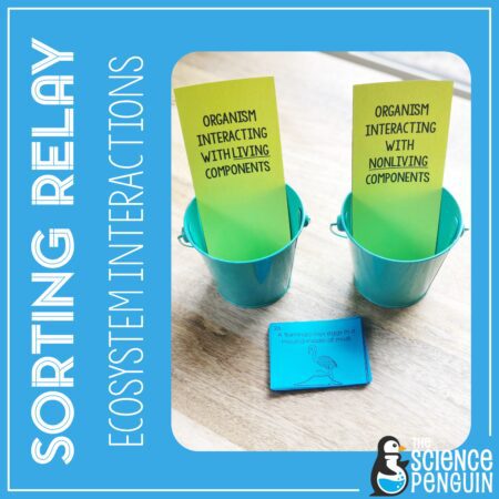 3 EASY Ways to use Science Sorts — The Science Penguin
