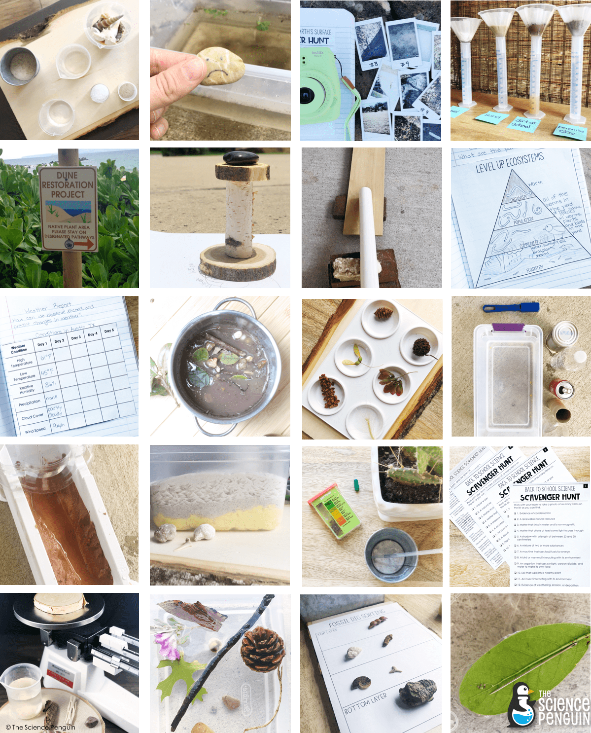 Out the Door to Explore: 5 Reasons to Teach Science Outside — The ...