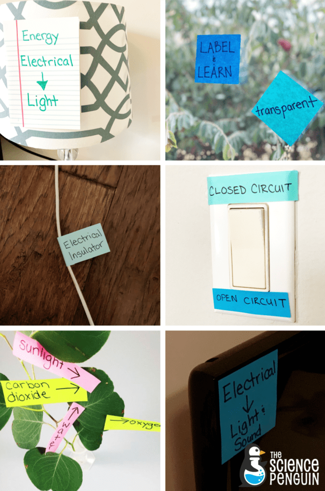 Classroom Decor {with a purpose} — The Science Penguin