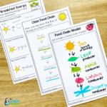 How to Teach Food Webs: 9 Exciting Hands-on Activities for 4th grade ...