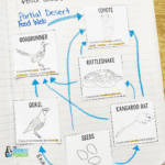 How to Teach Food Webs: 9 Exciting Hands-on Activities for 4th grade ...