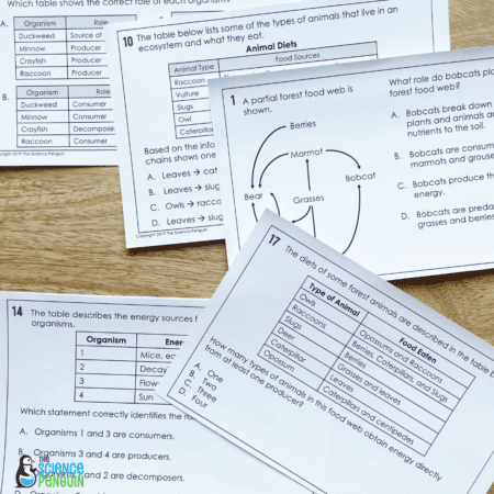 How to Teach Food Webs: 9 Exciting Hands-on Activities for 4th grade ...