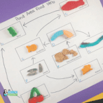 How to Teach Food Webs: 9 Exciting Hands-on Activities for 4th grade ...