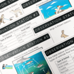 How to Teach Food Webs: 9 Exciting Hands-on Activities for 4th grade ...