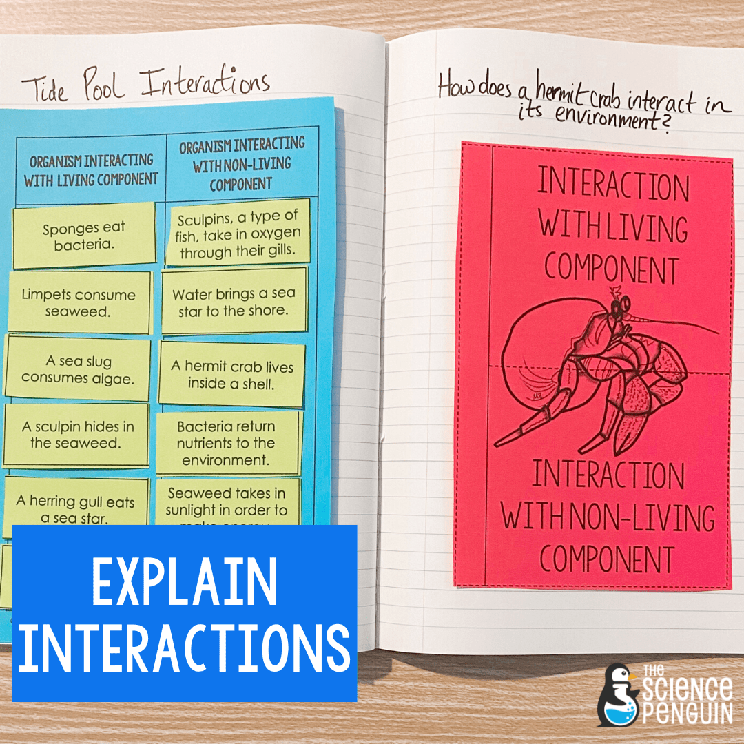5 Ideas to Teach Students About Ecosystem Interactions — The Science ...