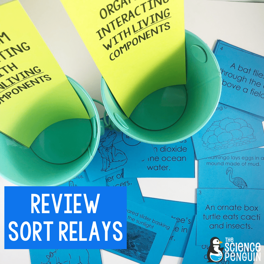 5 Ideas to Teach Students About Ecosystem Interactions — The Science ...