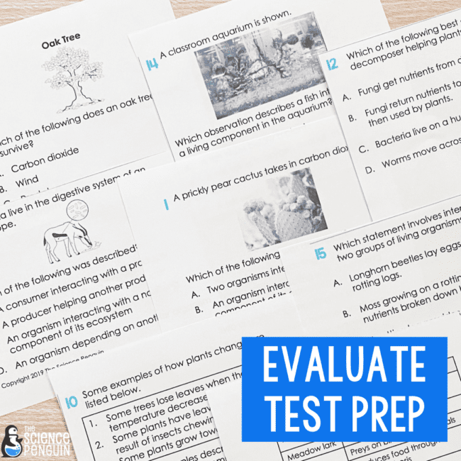 5 Ideas to Teach Students About Ecosystem Interactions — The Science ...