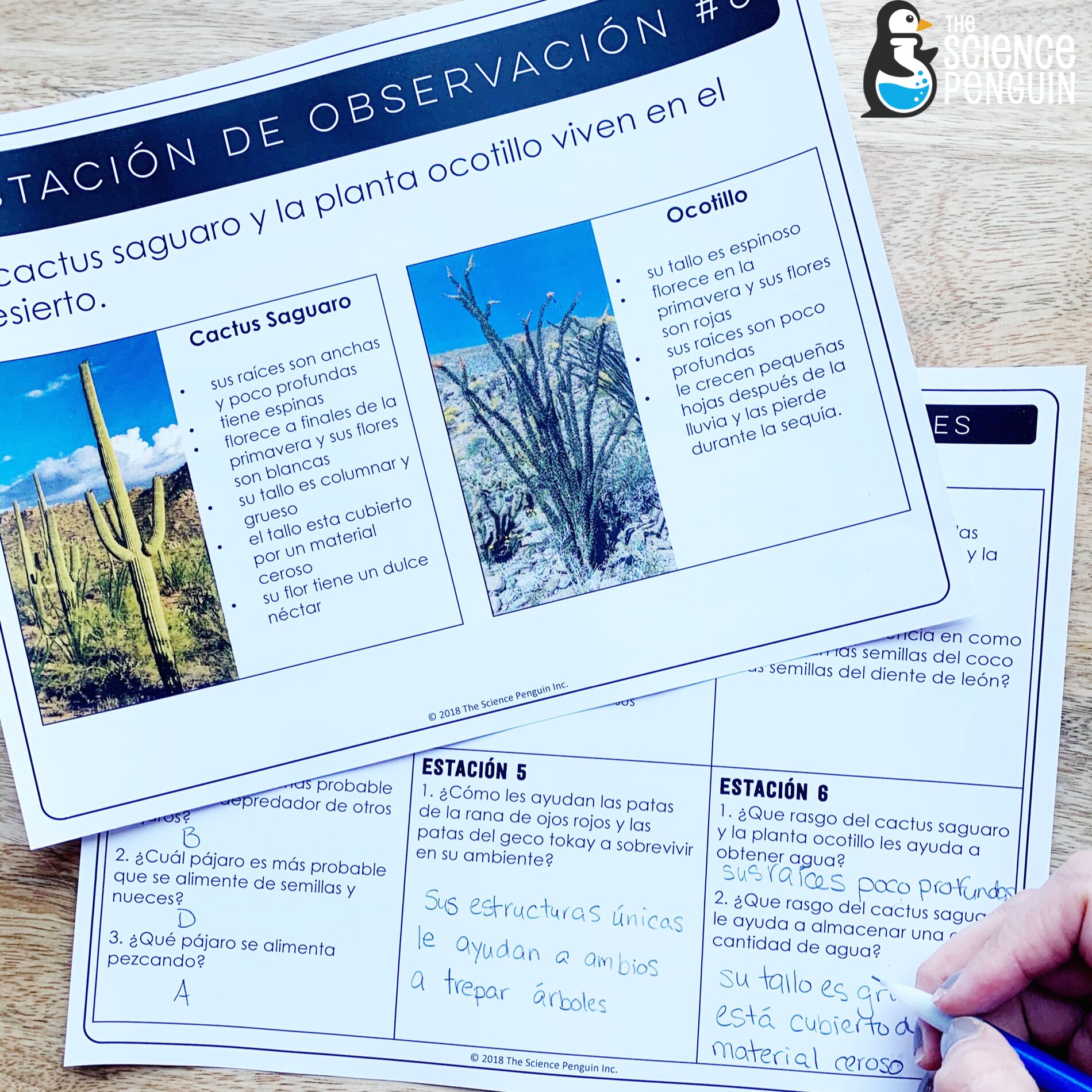 The Science Penguin in Spanish — The Science Penguin