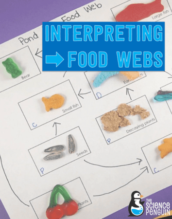 5 Ideas for Interpreting Food Webs — The Science Penguin