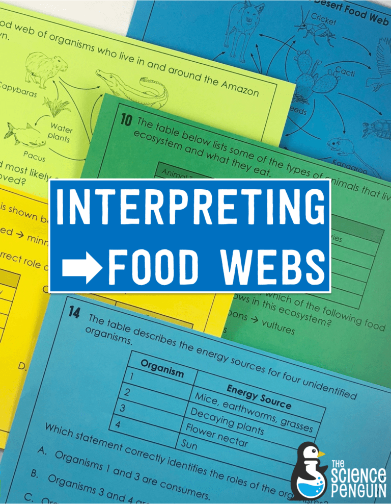 5 Ideas for Interpreting Food Webs — The Science Penguin
