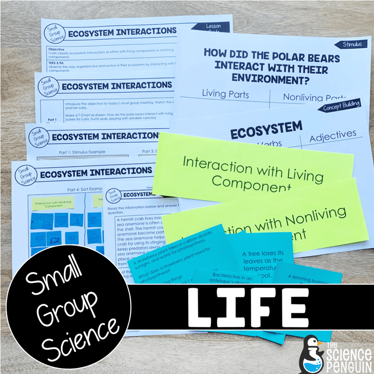 Small Group Science: An Intervention Plan for Tutoring — The Science ...