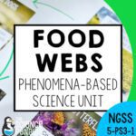 How to Teach Food Webs: 9 Exciting Hands-on Activities for 4th grade ...