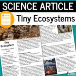 5 Ideas to Teach Students About Ecosystem Interactions — The Science ...