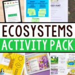 5 Ideas to Teach Students About Ecosystem Interactions — The Science ...