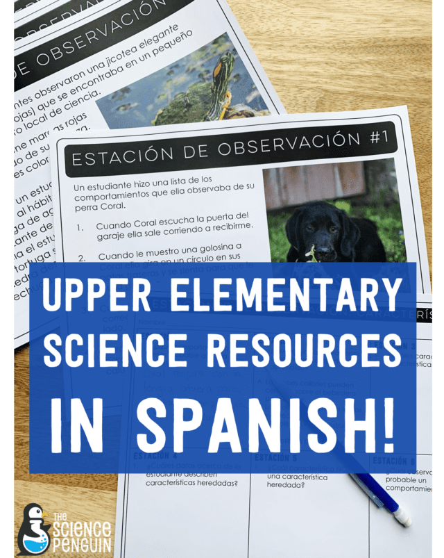 The Science Penguin in Spanish — The Science Penguin